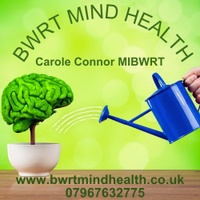 BWRT, BrainWorking Recursive Therapy